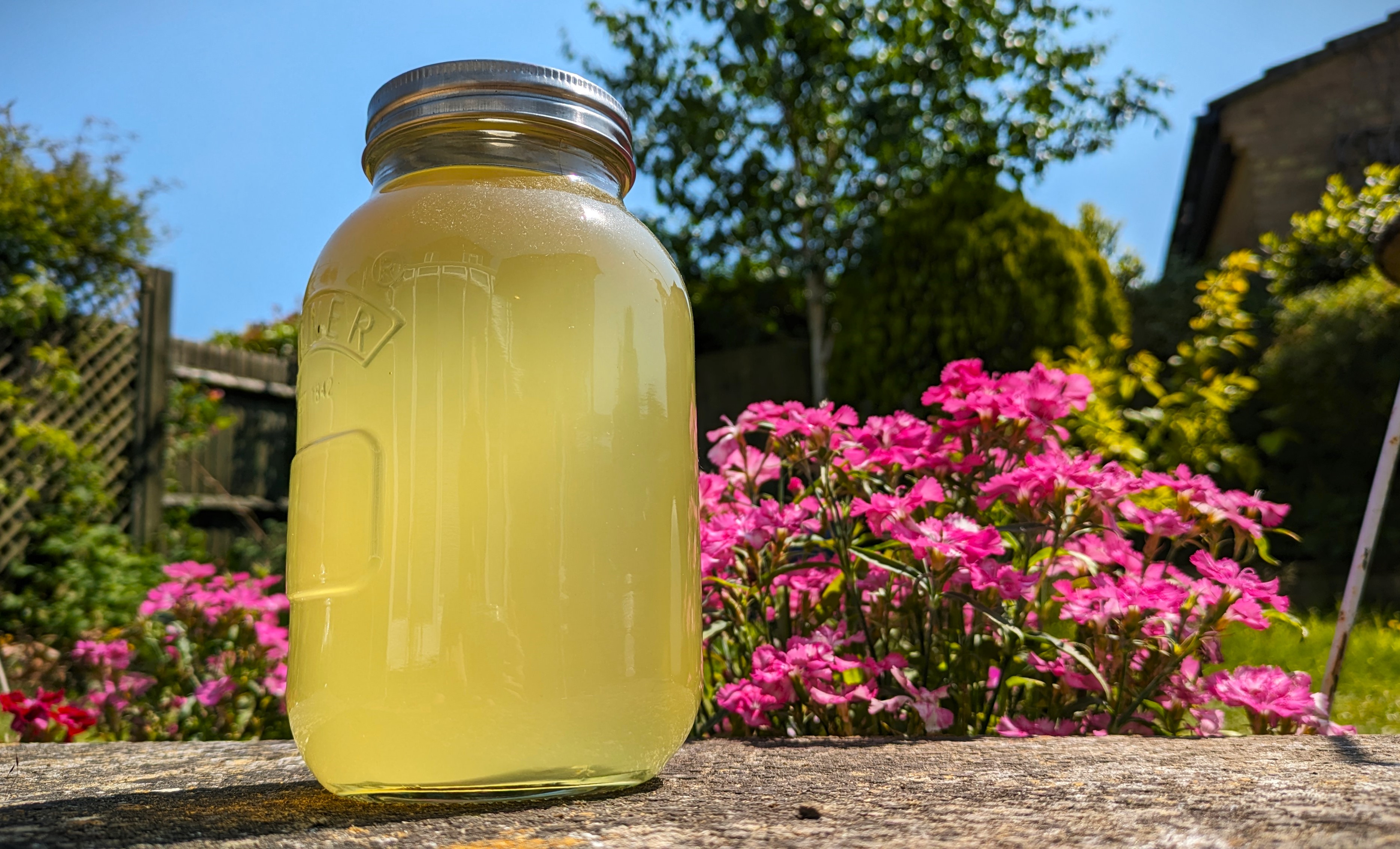 Fresh Elderflower Cordial – A Different Kitchen