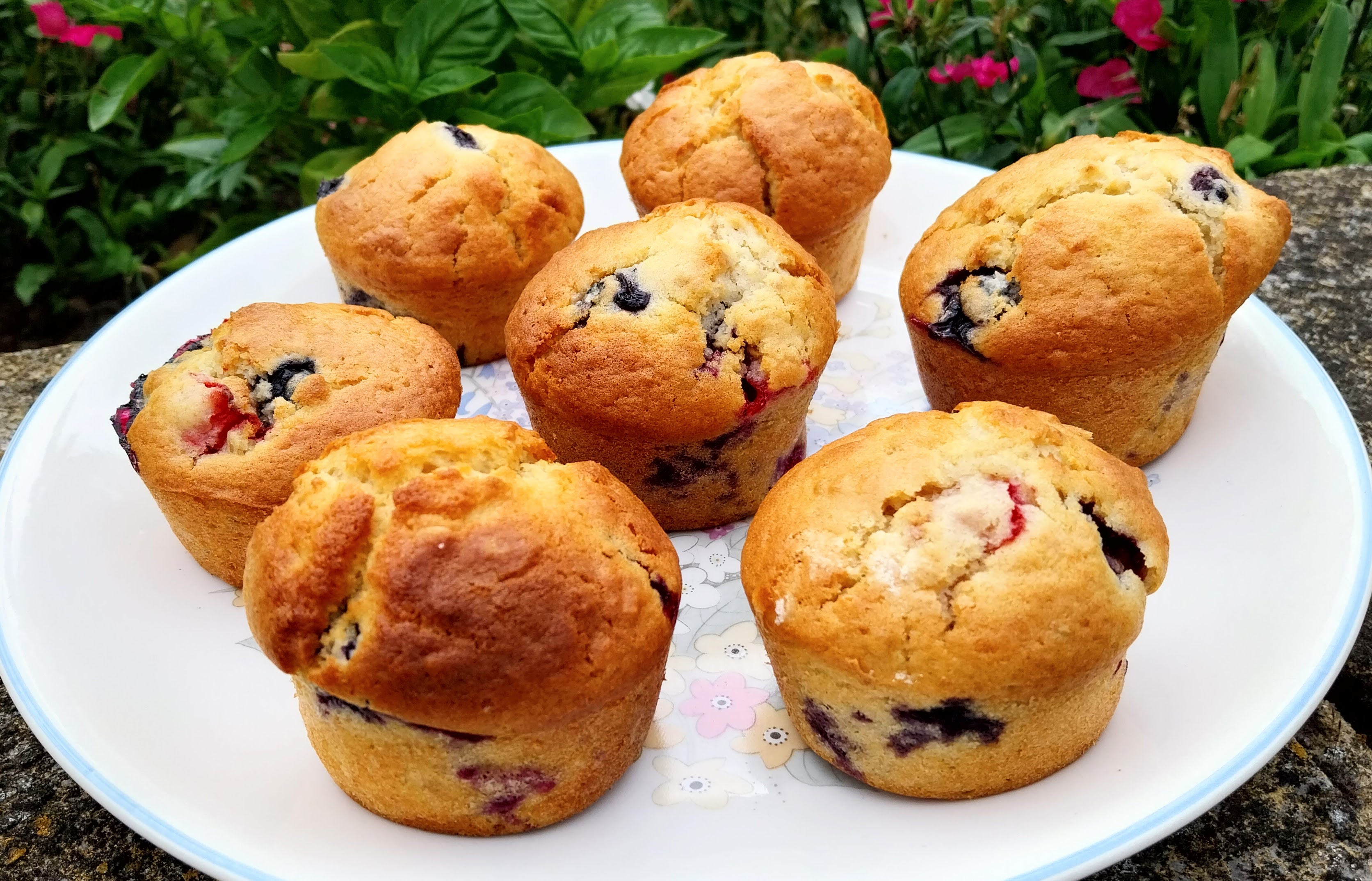 Summer Berry Burst Muffins – A Different Kitchen